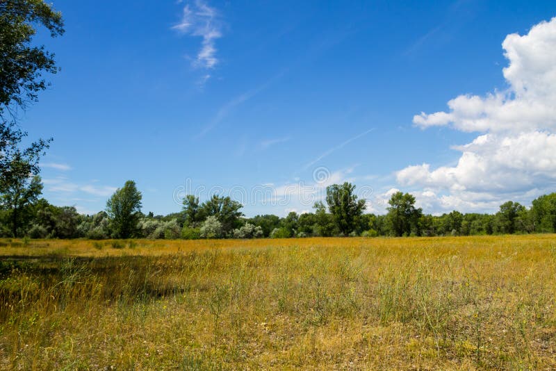 Summer Landscape with Green Trees, Meadow and Blue Sky Stock Photo ...