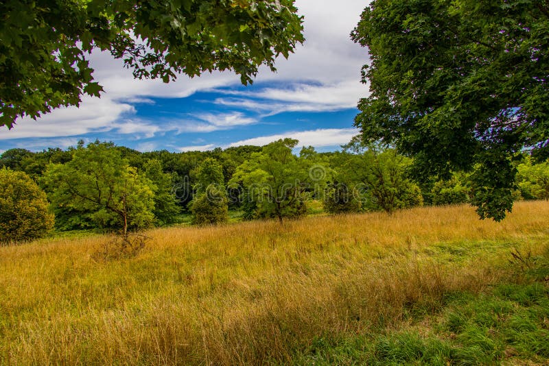 Summer Landscape with Green Trees, Meadow, Fields and Sky with White ...