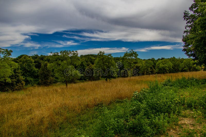 Summer Landscape with Green Trees, Meadow, Fields and Sky with White ...