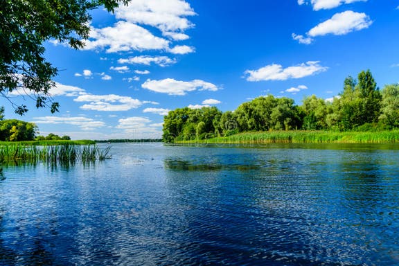 Summer Landscape with the Green Trees and River Stock Photo - Image of ...