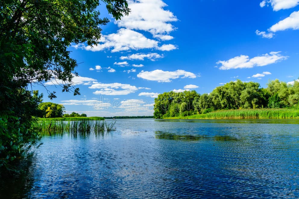 Summer Landscape with the Green Trees and River Stock Image - Image of ...