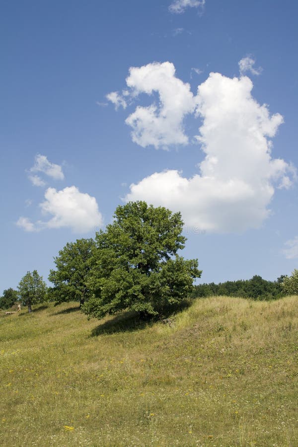 Summer landscape stock image. Image of hill, landscape - 143529883
