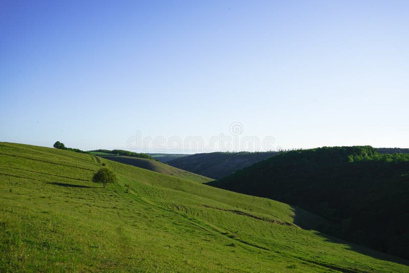 Summer Landscape with Hilly Green Field and Forest in the Distance ...