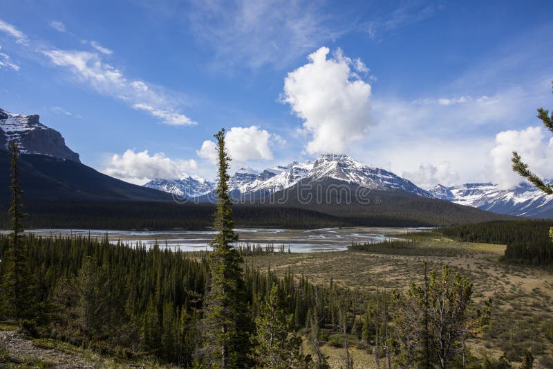 Summer Landscape in Jasper National Park, Canada Stock Photo - Image of ...