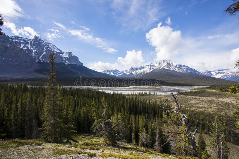 Summer Landscape in Jasper National Park, Canada Stock Photo - Image of ...