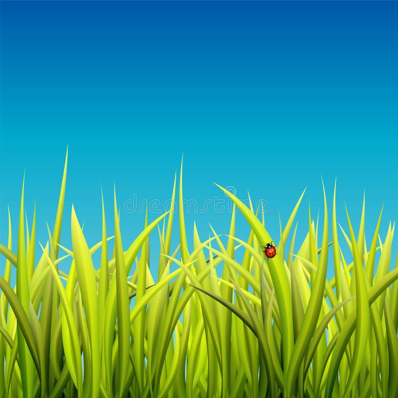 Summer Landscape, Ladybug on Grass Stock Vector - Illustration of ...