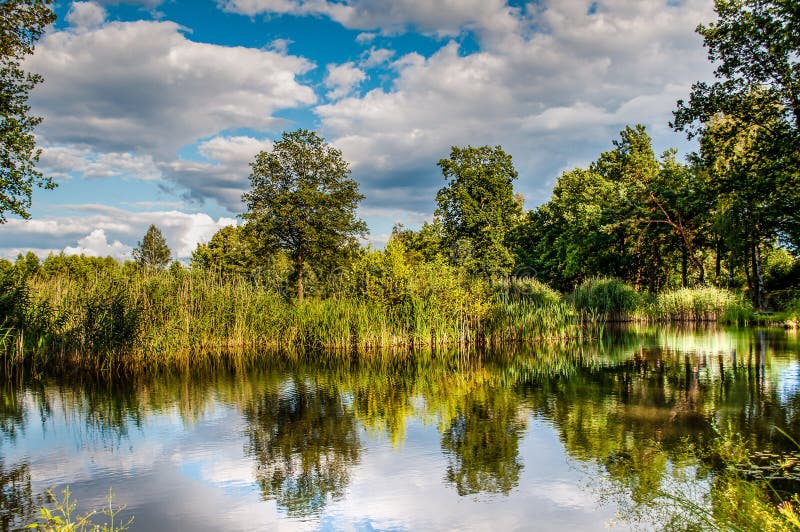 Summer Landscape, Lake View on a Sunny Day Stock Photo - Image of mood ...