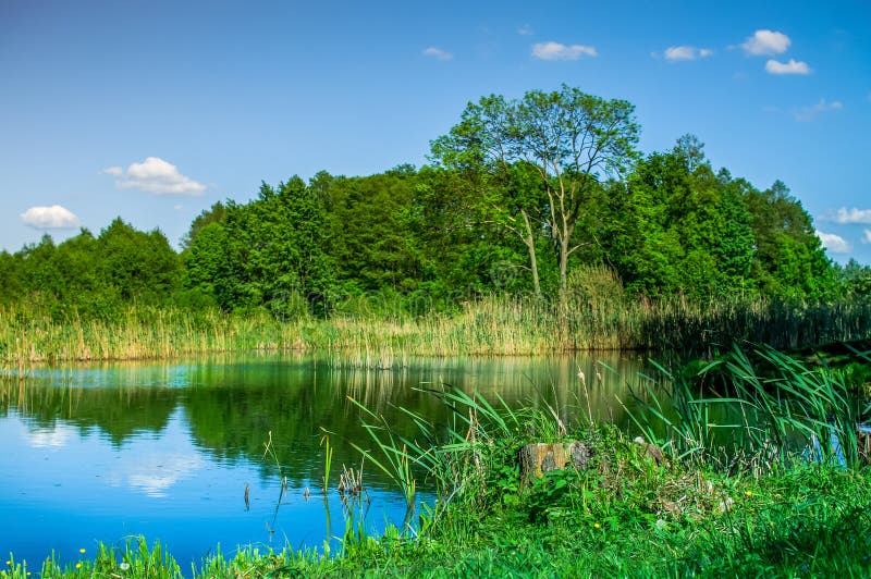 Summer Landscape, Lake View on a Sunny Day Stock Photo - Image of view ...