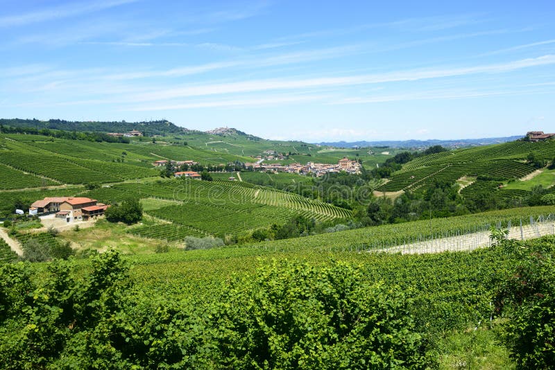 Summer Landscape in Langhe (Italy) Stock Image - Image of landscape ...