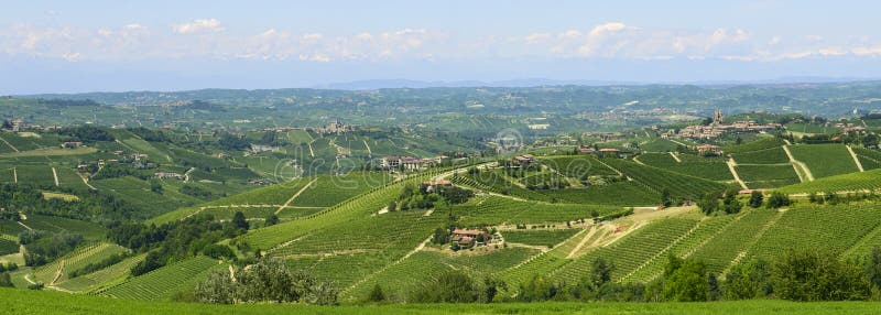 Summer Landscape in Langhe (Italy) Stock Image - Image of rural, nature ...