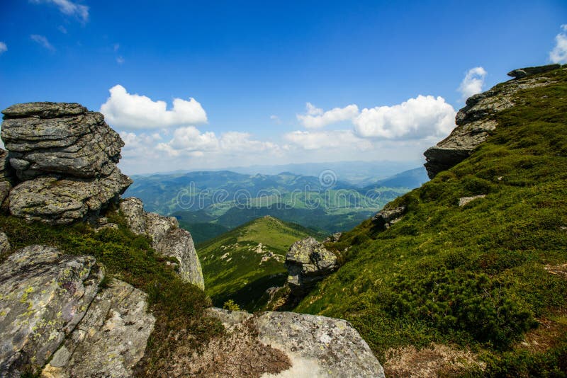 Summer Landscape in the Mountains Stock Photo - Image of meadow, bright ...