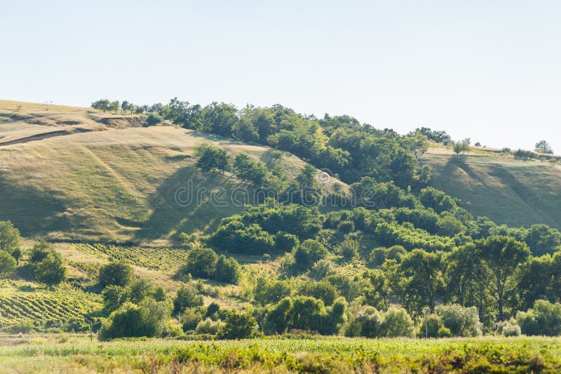 Summer Landscape in the Mountains and Hills, Moldova Stock Image ...