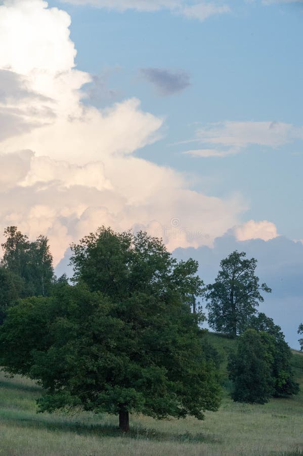 Summer Landscape, Mountainside on the Background of the Setting Sun ...