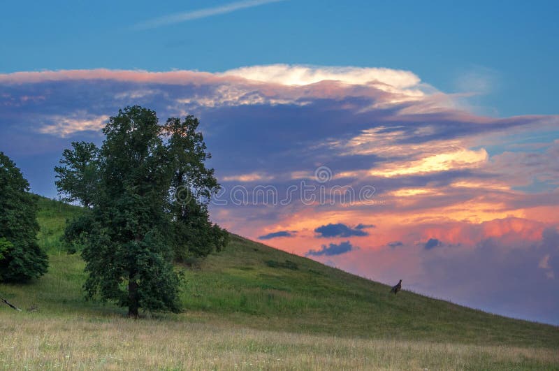 Summer Landscape, Mountainside on the Background of the Setting Sun ...