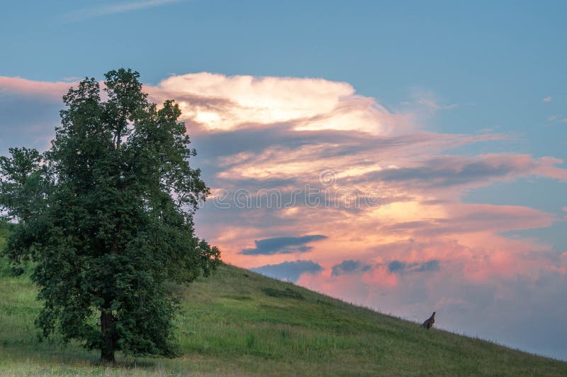 Summer Landscape, Mountainside on the Background of the Setting Sun ...
