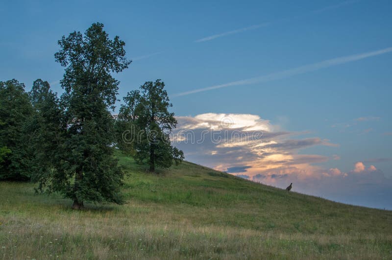 Summer Landscape, Mountainside on the Background of the Setting Sun ...
