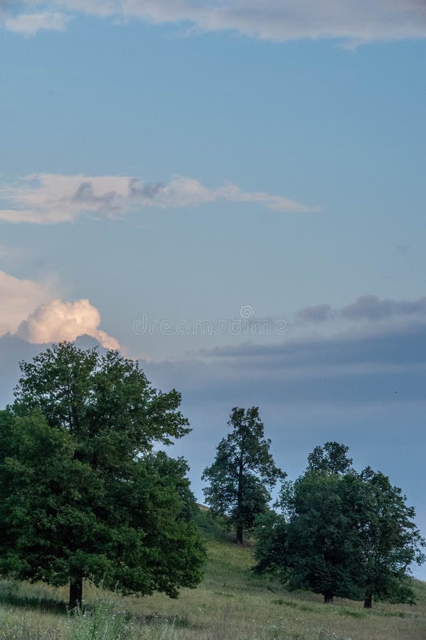 Summer Landscape, Mountainside on the Background of the Setting Sun ...