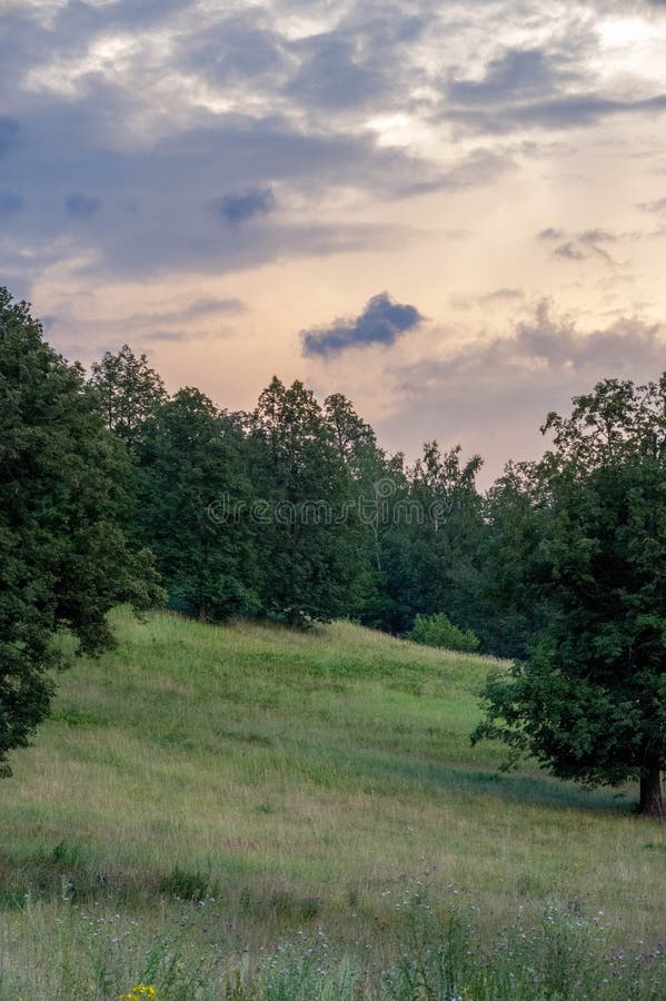 Summer Landscape, Mountainside on the Background of the Setting Sun ...