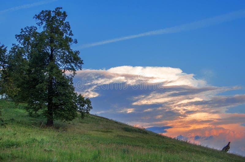 Summer Landscape, Mountainside on the Background of the Setting Sun ...