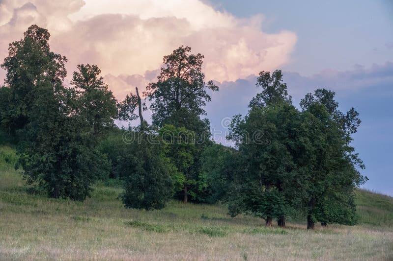 Summer Landscape, Mountainside on the Background of the Setting Sun ...
