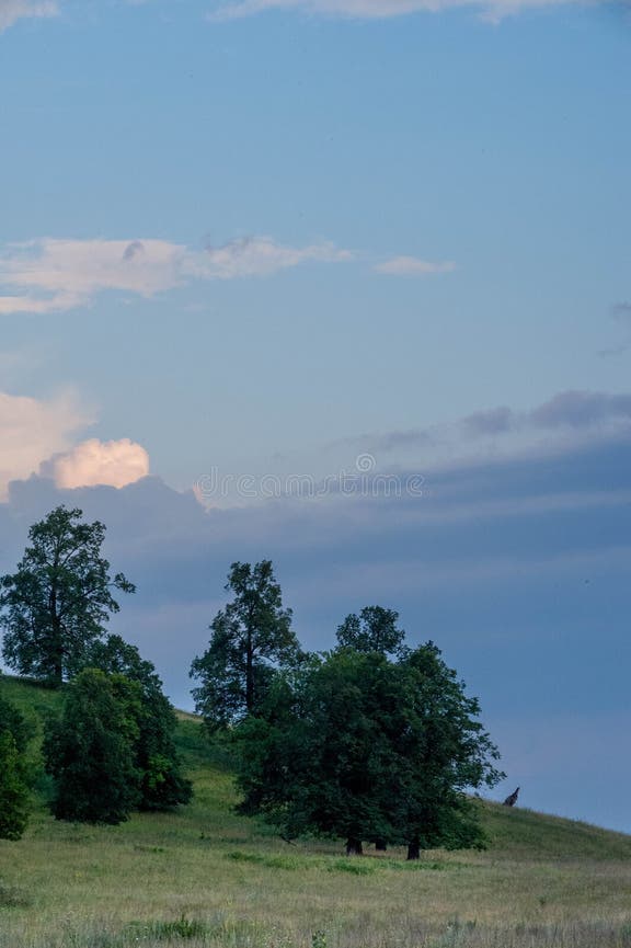 Summer Landscape, Mountainside on the Background of the Setting Sun ...
