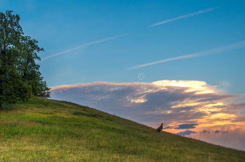 Summer Landscape, Mountainside on the Background of the Setting Sun ...