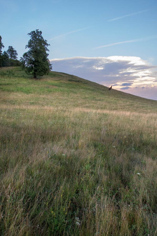 Summer Landscape, Mountainside on the Background of the Setting Sun ...