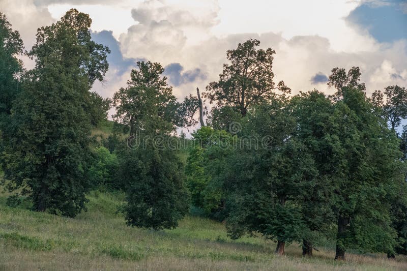 Summer Landscape, Mountainside on the Background of the Setting Sun ...