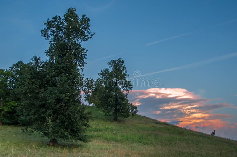 Summer Landscape, Mountainside on the Background of the Setting Sun ...