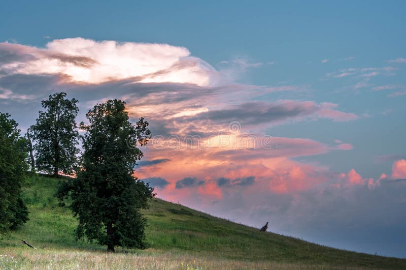 Summer Landscape, Mountainside on the Background of the Setting Sun ...