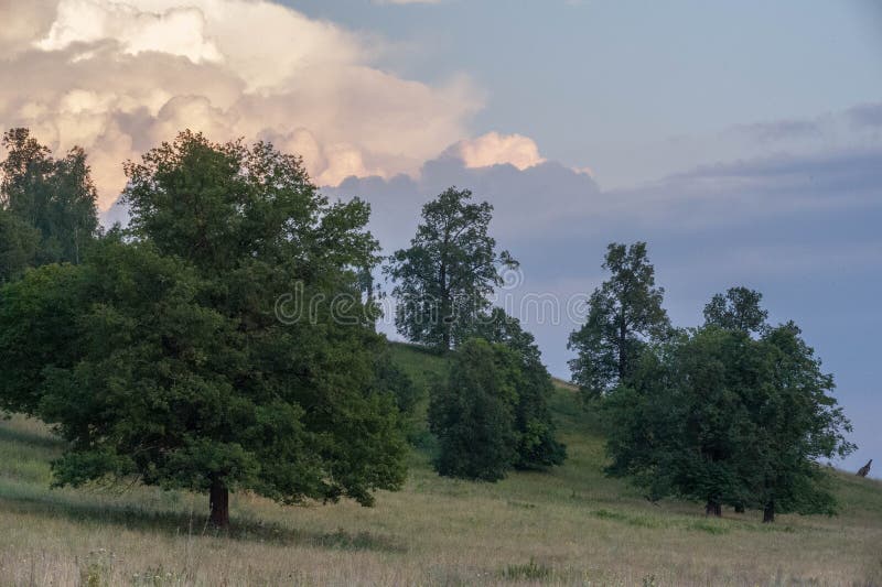 Summer Landscape, Mountainside on the Background of the Setting Sun ...