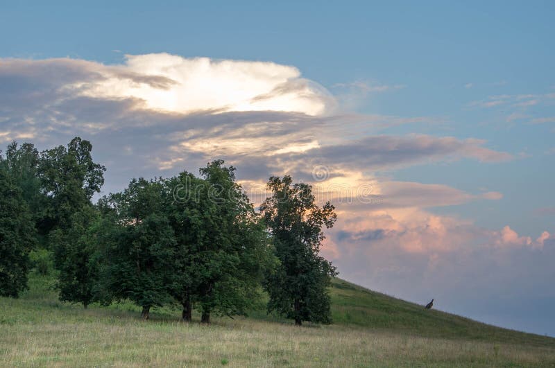 Summer Landscape, Mountainside on the Background of the Setting Sun ...