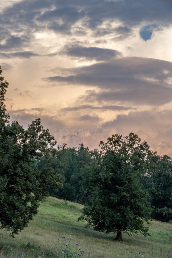 Summer Landscape, Mountainside on the Background of the Setting Sun ...