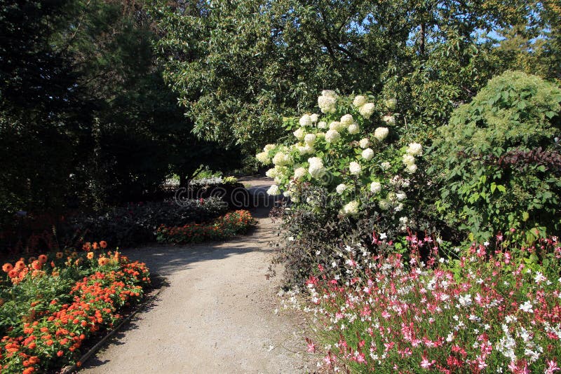Summer Landscape stock image. Image of park, bloom, landscape - 288891219