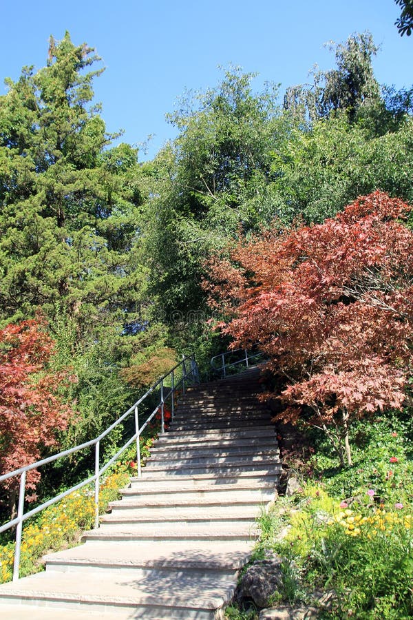 Summer Landscape stock image. Image of trail, blossom - 288891921