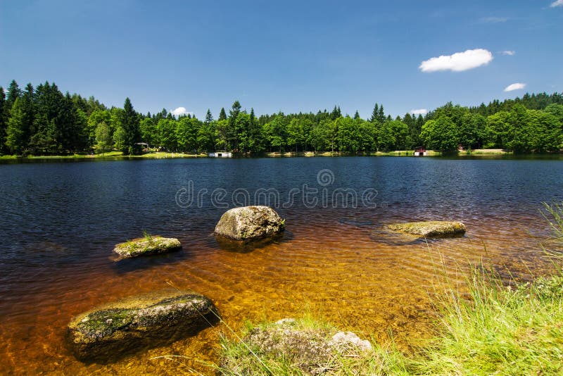 Summer Landscape with a Pond Stock Image - Image of water, forest: 31853365