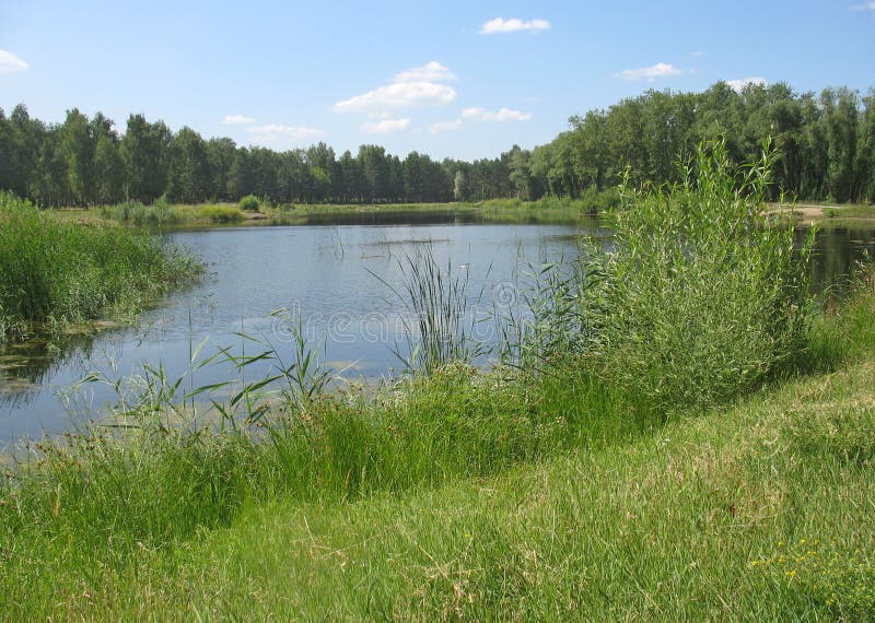 Summer Landscape: Pond in the Park Stock Image - Image of pond, clouds ...
