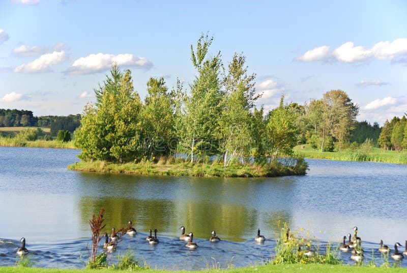Summer landscape stock image. Image of canadian, beauty - 50346817