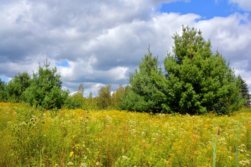 Summer Landscape Eastern Township Quebec Stock Photo - Image of canada ...