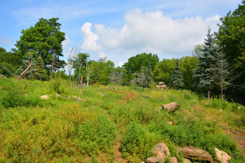 Summer landscape in august stock image. Image of carpathian - 155620665