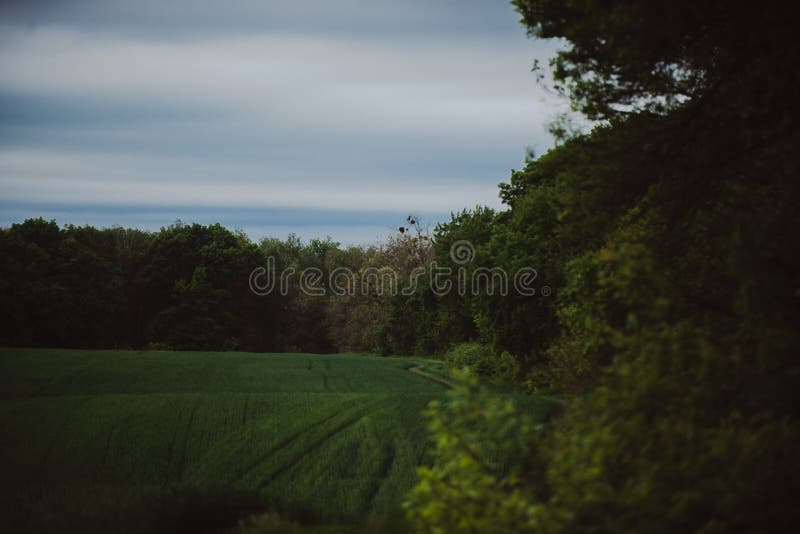 Summer Landscape after the Rain Outside the City Stock Image - Image of ...