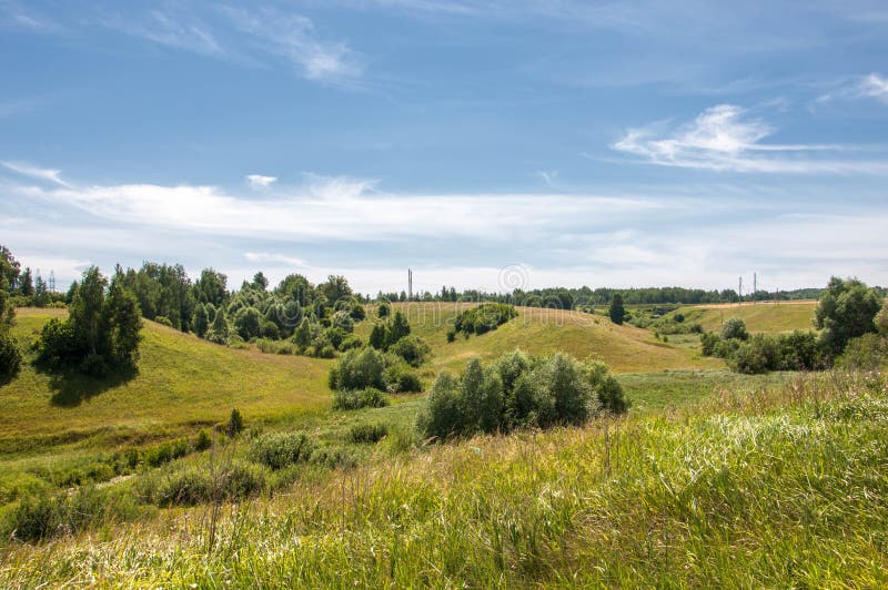 Summer Landscape, Ravine, Grass Sedge, Mixed Grass. Trees of Pine and ...