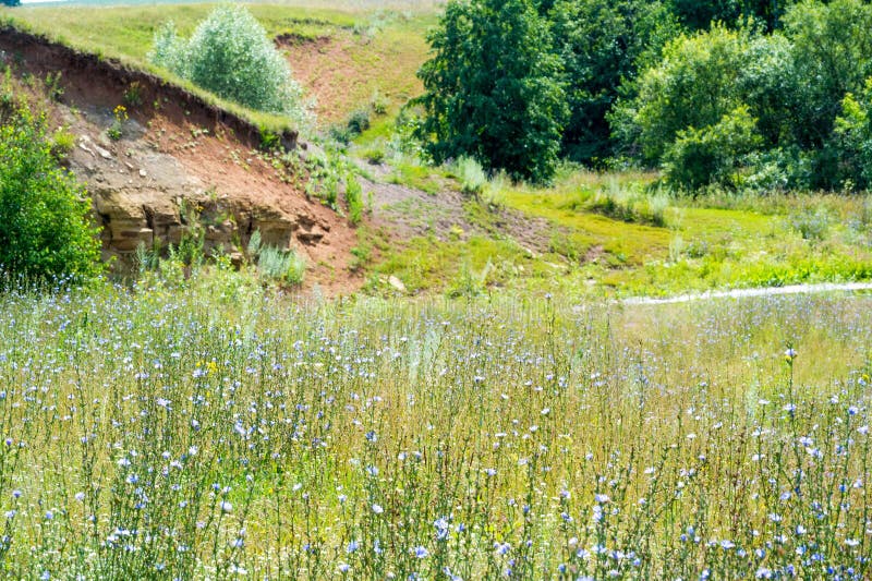 Summer Landscape, Ravine, Grass Sedge, Motley Grass. a Small River ...