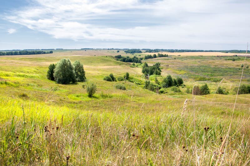 Summer Landscape, Ravine, Grass Sedge, Motley Grass. a Small River ...
