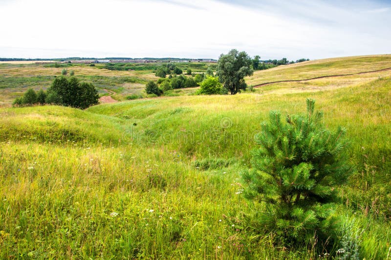 Summer Landscape, Ravine, Grass Sedge, Motley Grass. a Small River ...