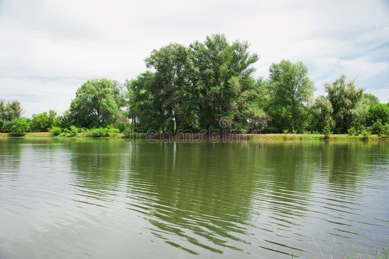 Summer Landscape on the River Bank Stock Photo - Image of outdoors ...