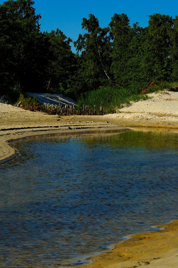 Summer Landscape with a River Flowing through the Forest with a Sandy ...