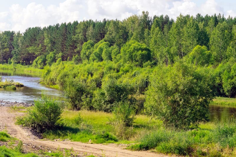 Summer Landscape with River and Forest. Russia, Nature of Eastern ...