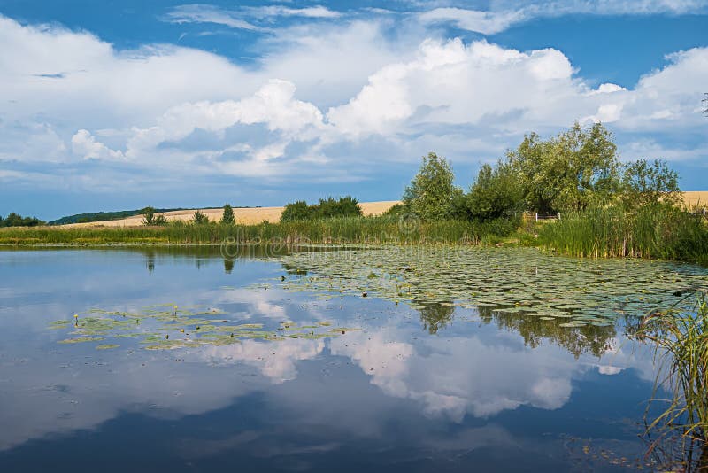 Summer Landscape: River, Reflection of Clouds in the Water, Sky Stock ...