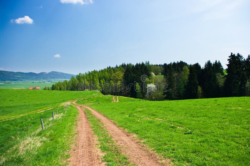 Summer landscape with road stock photo. Image of landscape - 19737372